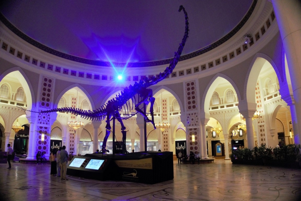 Top 7 Reasons to Visit Dubai - Ace Adventurer