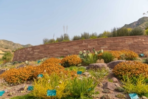 Visiting Red Butte Garden: Things to See and Do - Ace Adventurer