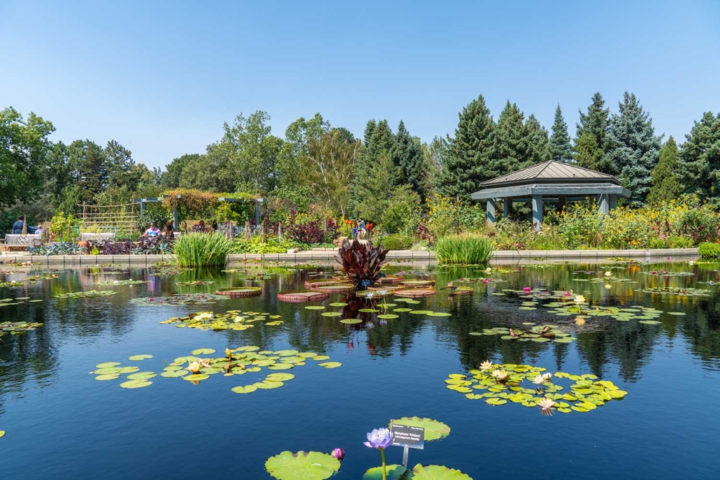 Visiting the Denver Botanic Gardens: Things to See and Do - Ace Adventurer