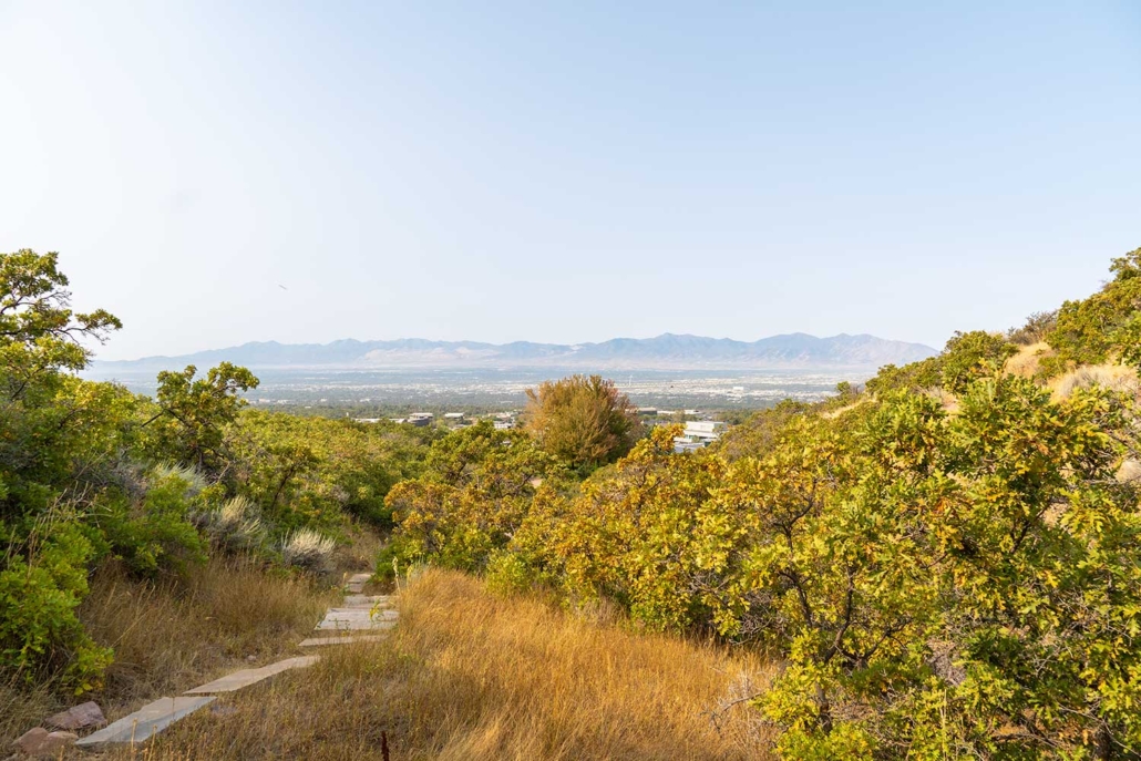 Visiting Red Butte Garden: Things to See and Do - Ace Adventurer